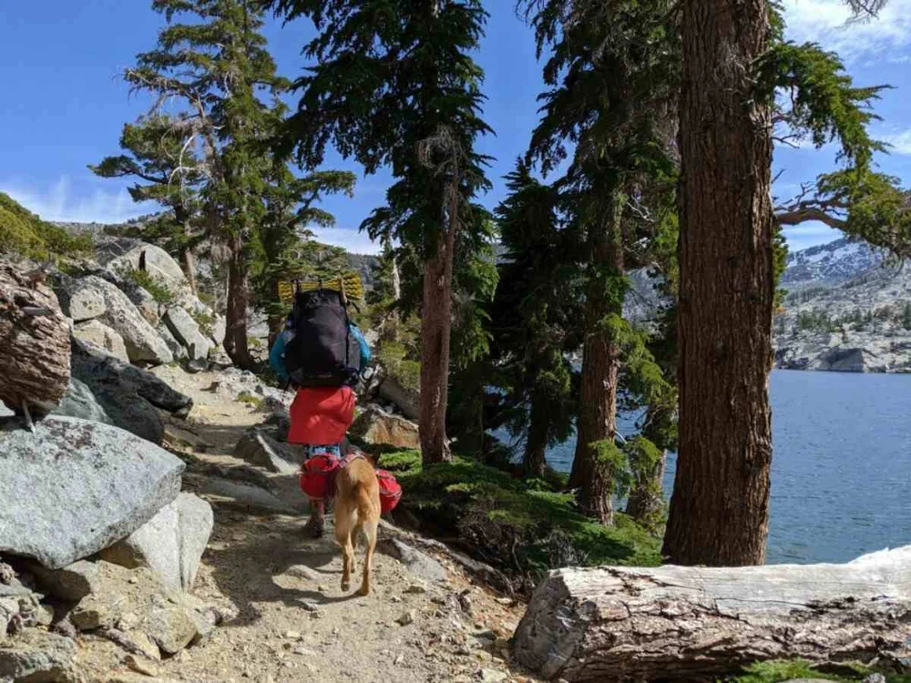 ULA Circuit Backpacking Backpack Long-Term Review
