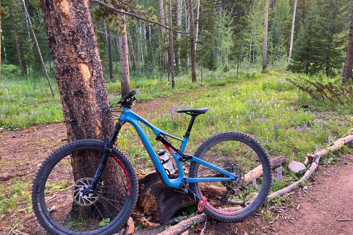 Essential Mountain Bike Accessories of 2025