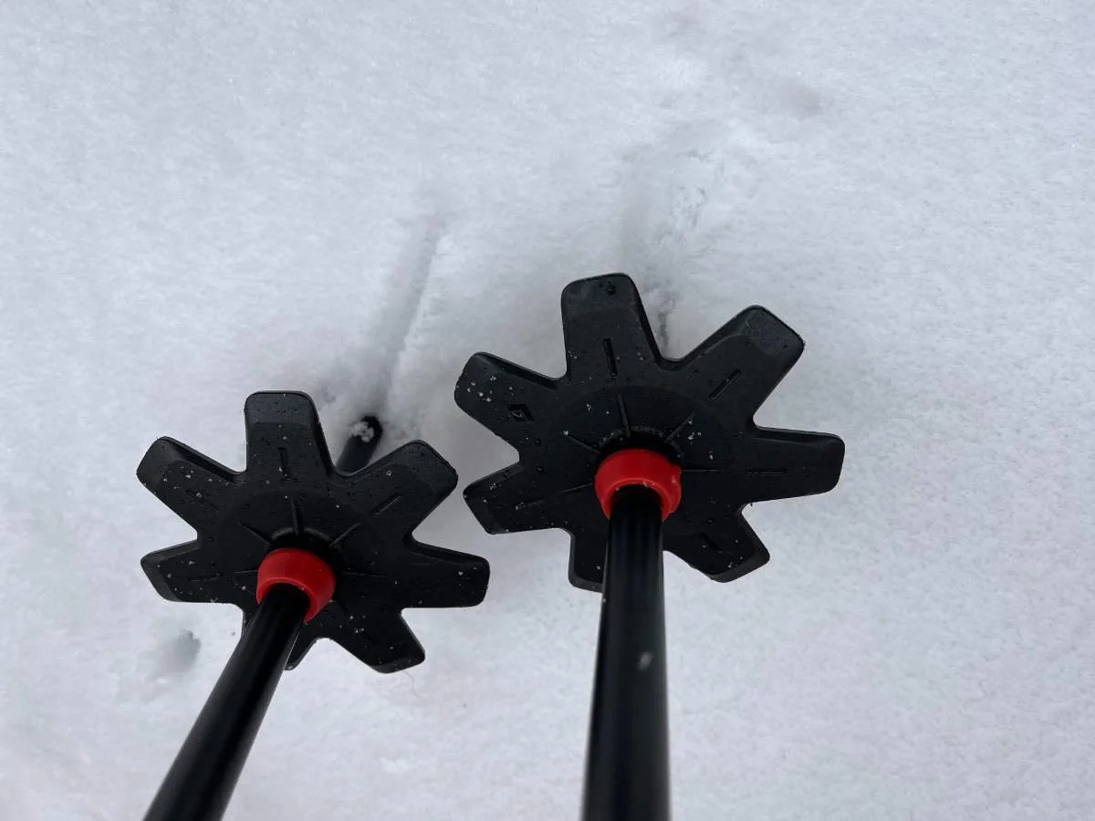 Best Ski Poles of 2024
