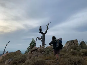 Blue Mountains Trail Backpacking & Thru-Hiking Guide