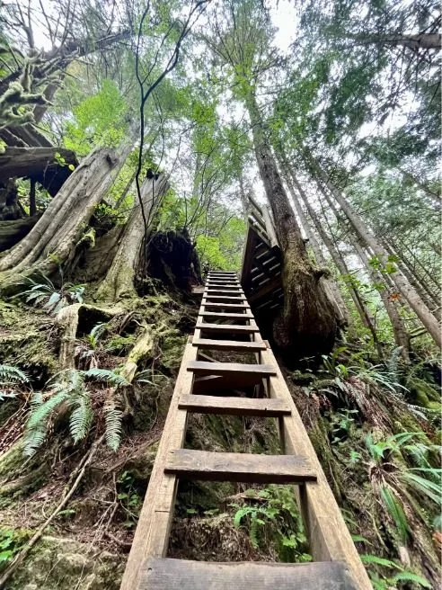Backpacking Guide to Canada’s West Coast Trail