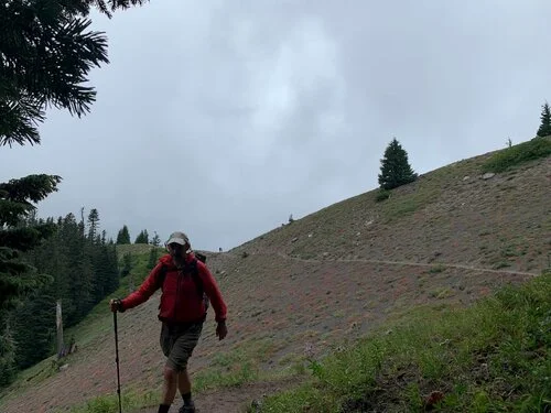 Best Shorts for Thru Hiking 2023 — Treeline Review