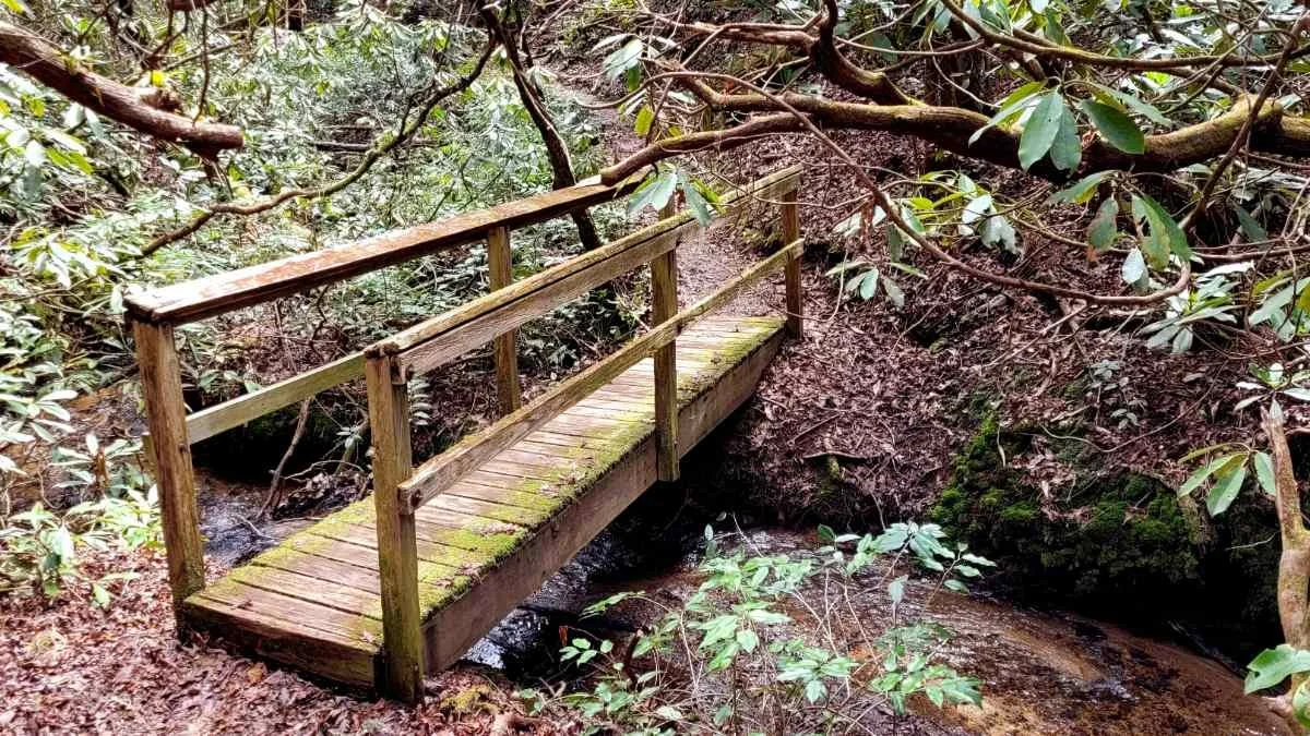 Foothills Trail Backpacking and Thru-Hiking Guide