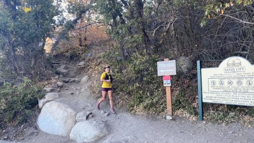 Best Base Layers of 2023 — Treeline Review