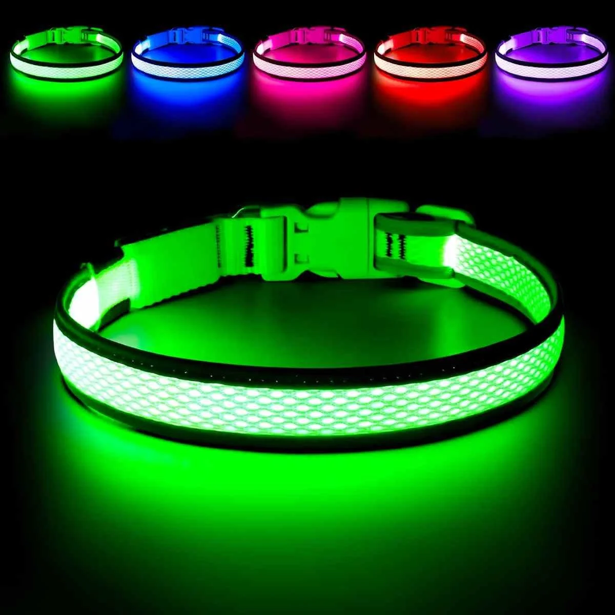 4 Best Light-Up Dog Collars of 2026 (Tested)