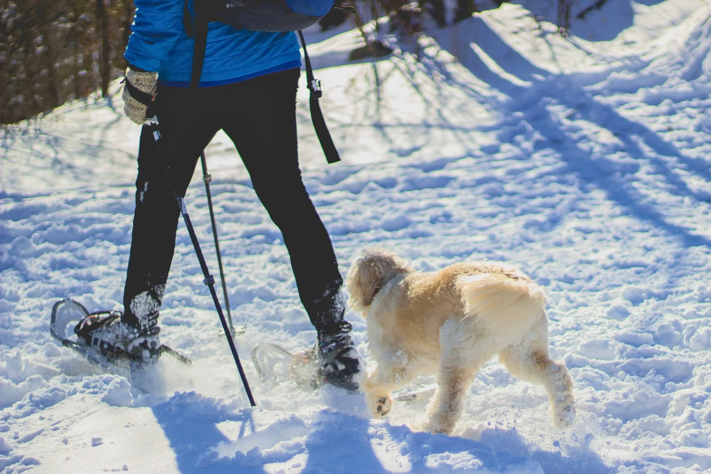 How to Prepare for a Snowshoeing Trip: A Comprehensive Guide