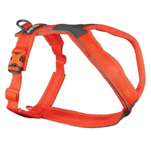 6 Best Dog Harnesses of 2026 (Tested & Reviewed)