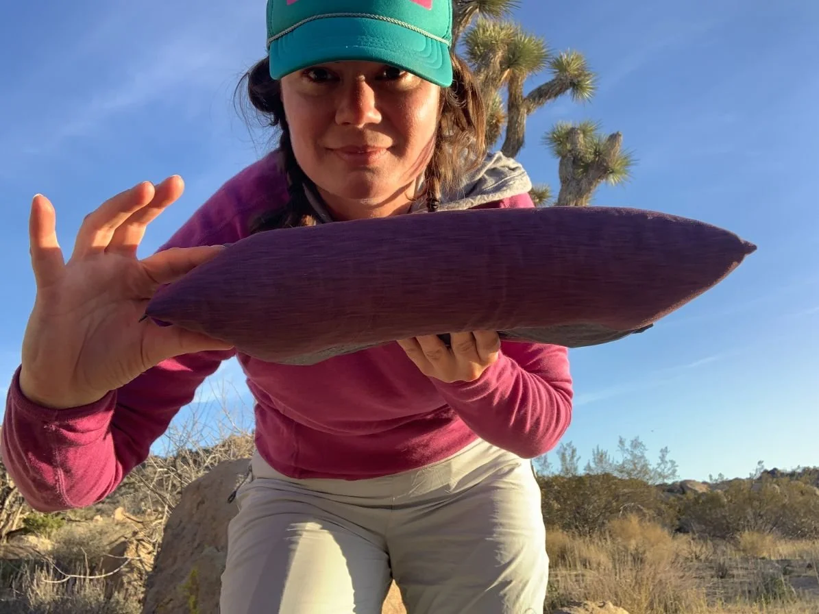 Best Backpacking Pillows of 2023 — Treeline Review