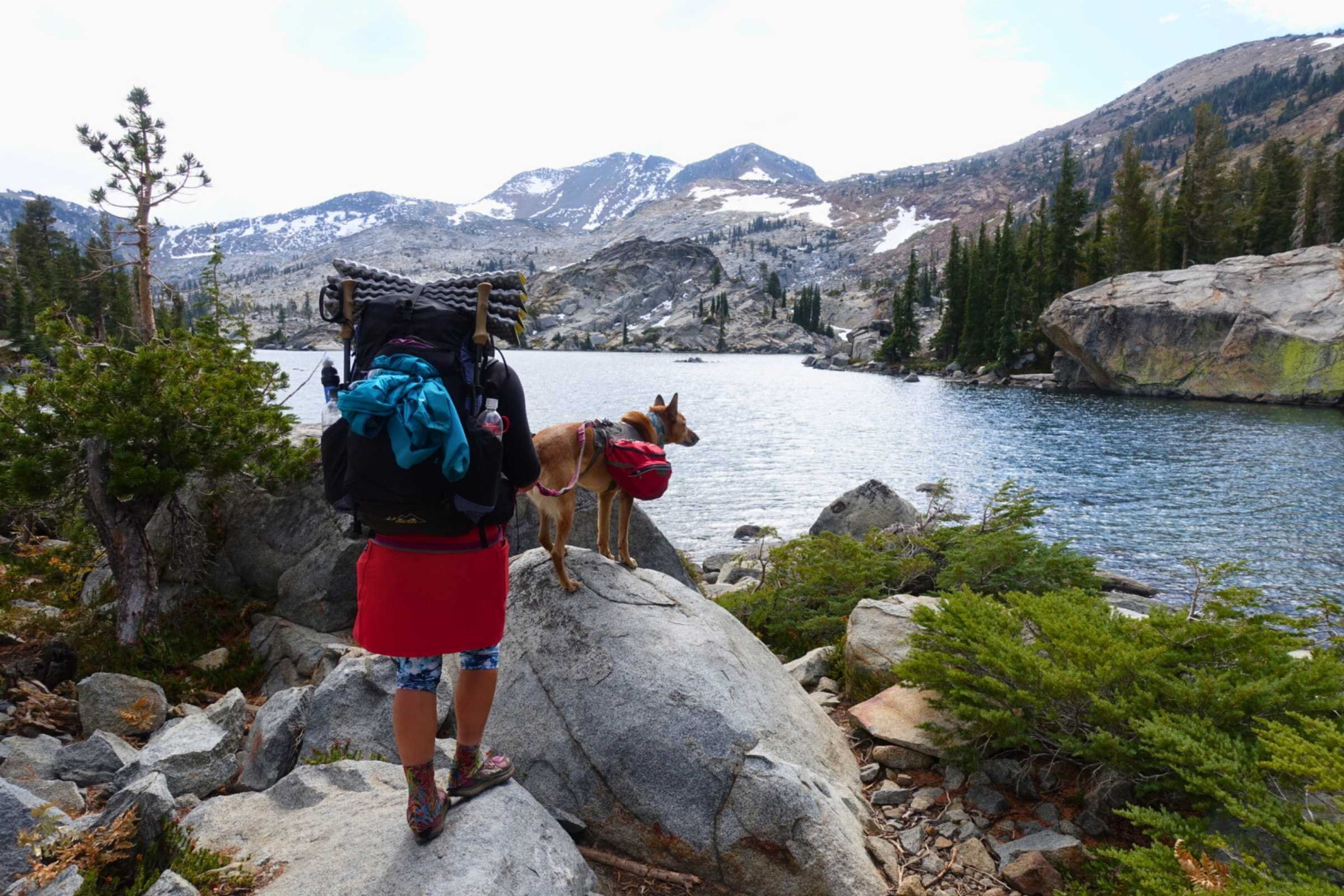 Tahoe Rim Trail Backpacking and Thru-hiking Guide 2025