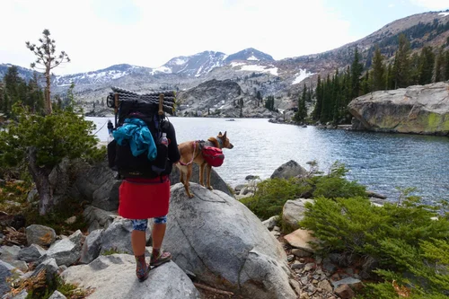 Tahoe Rim Trail Backpacking and Thru-hiking Guide 2025