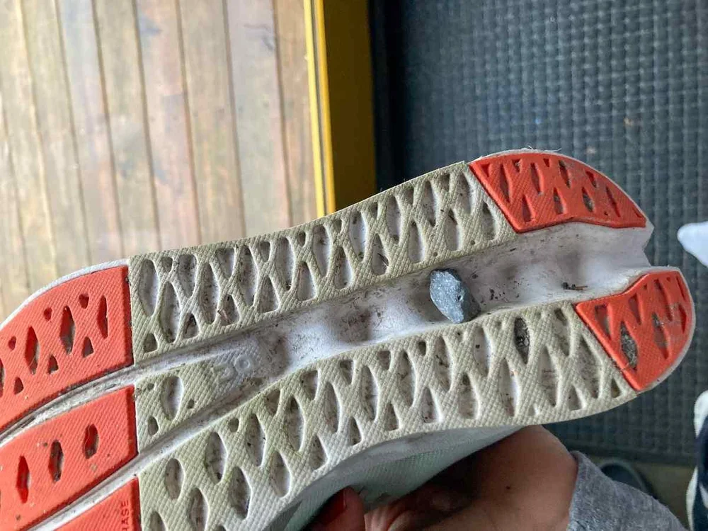 8 Best Road Running Shoes For Women of 2024 (Tested)