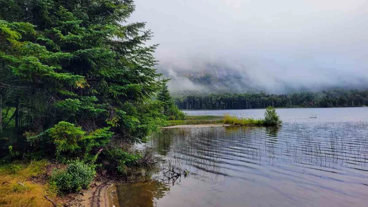 Northville-Placid Trail Backpacking and Thru-Hiking Guide