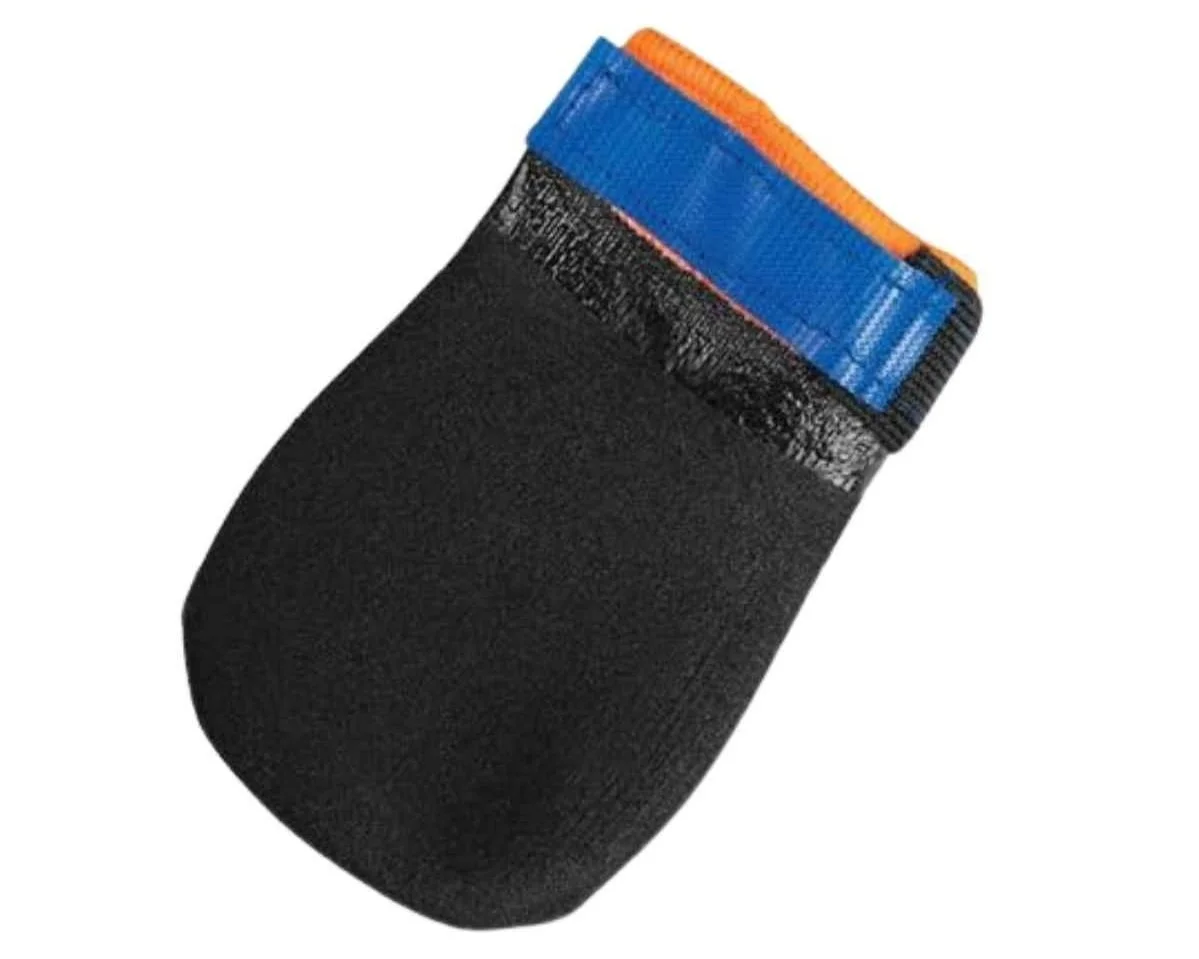 7 Best Dog Shoes and Boots of 2026 (Tested)