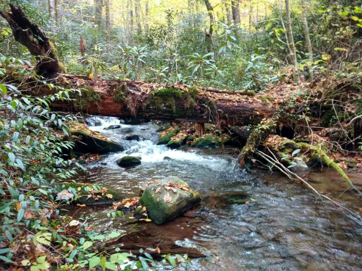 Benton MacKaye Trail Thru-Hiking Guide