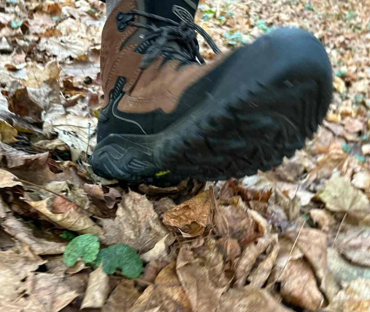 Keen Targhee IV Waterproof Hiking Boots Review