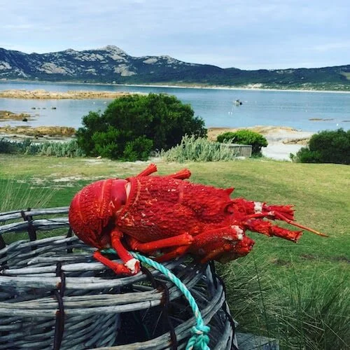 2019 FLINDERS ISLAND FOOD & CRAYFISH FESTIVAL — Flinders Island Retreat