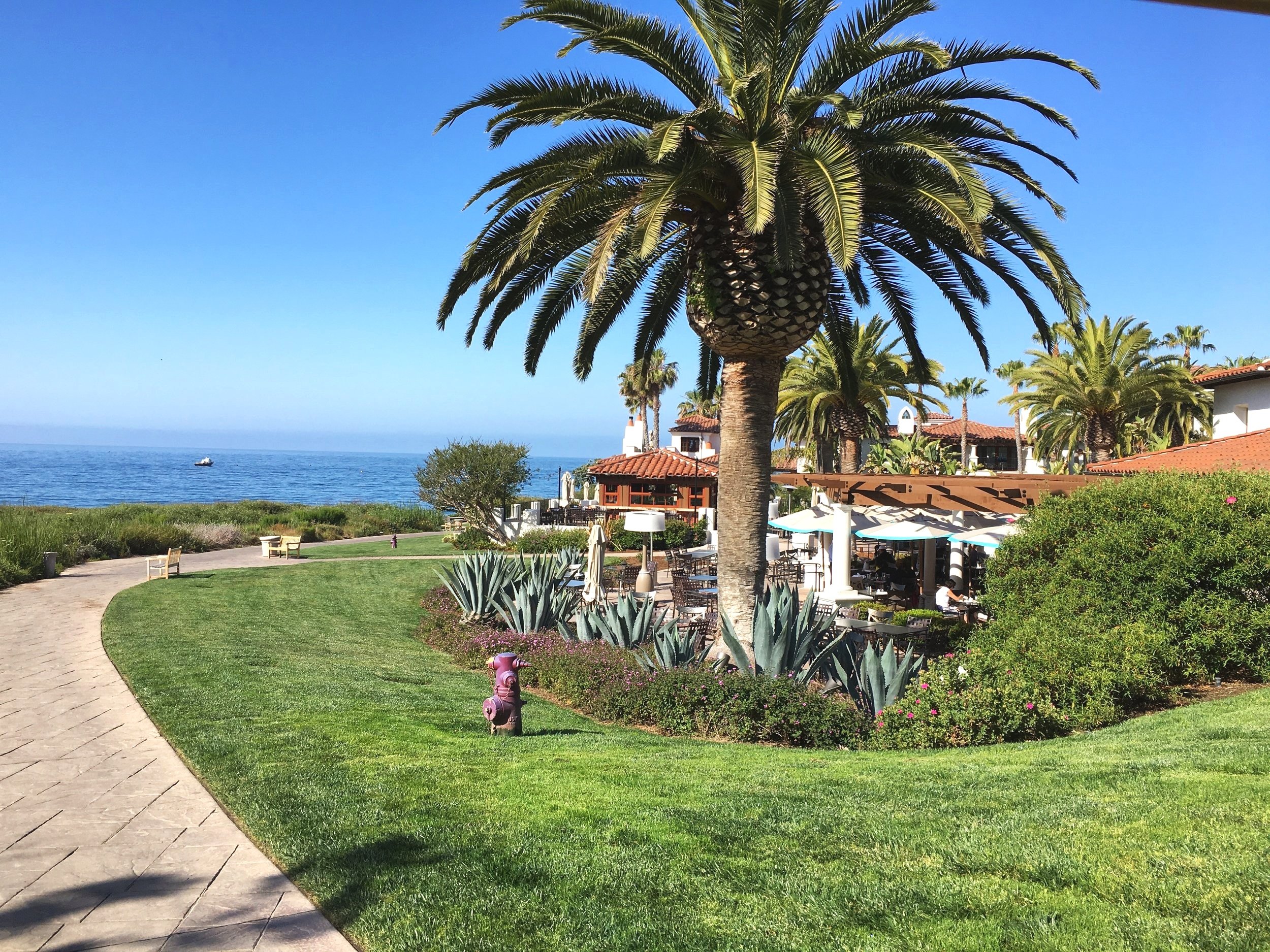 Legacy Landscape Services