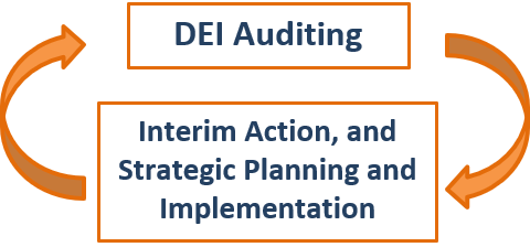DEI Auditing — Blink Consulting: Critically Rethinking Diversity