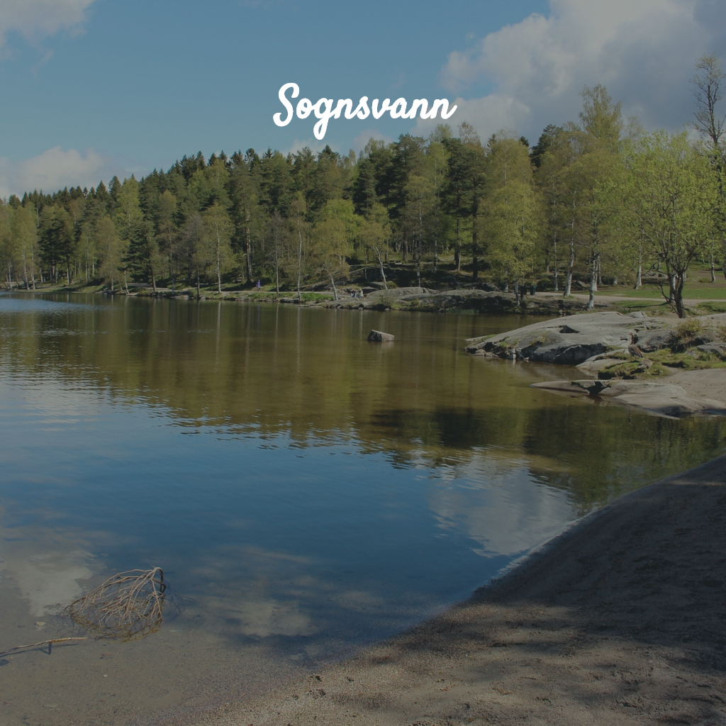 Guide til badeplasser i Oslo | Mer av Oslo