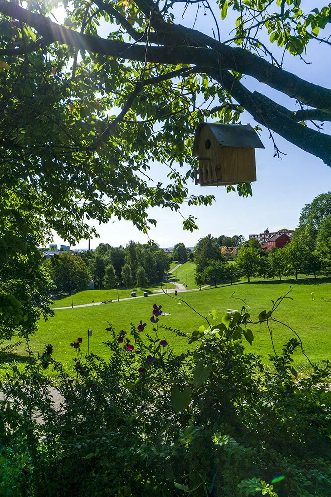 Bydel: Sagene | Mer av Oslo