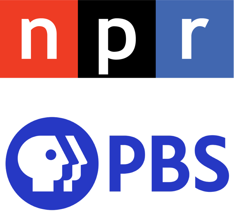 New York's Public Broadcasters