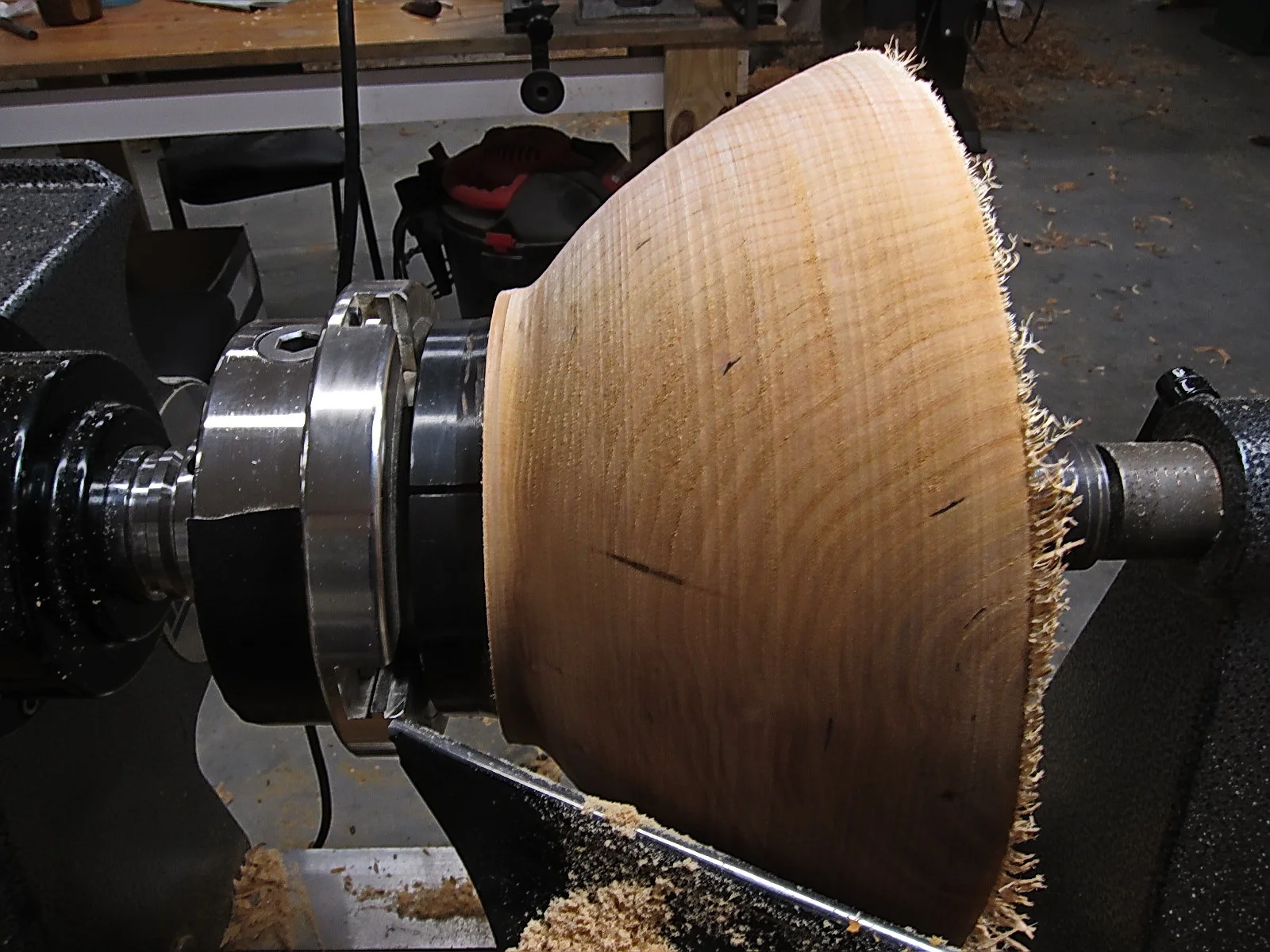 Preservation Tree Art — Anatomy of a Bowl