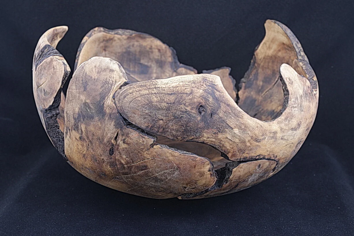 Preservation Tree Art — Burls, Burrs, Buttresses and Knots