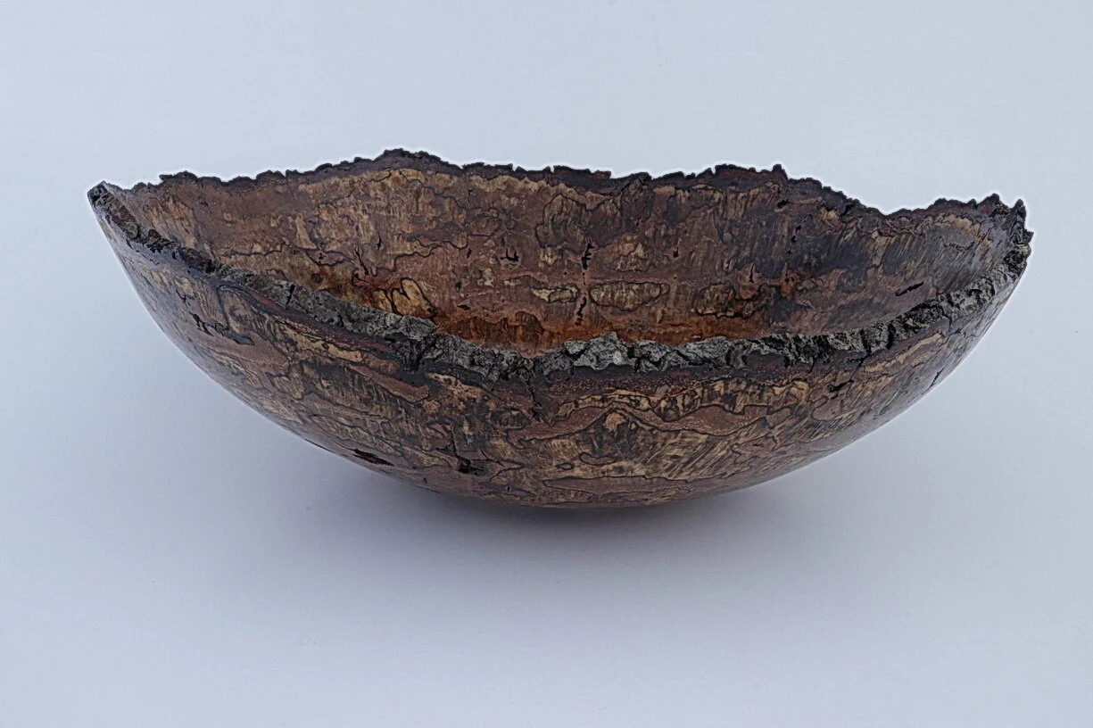 Preservation Tree Art - Live Edge Red Oak Burl