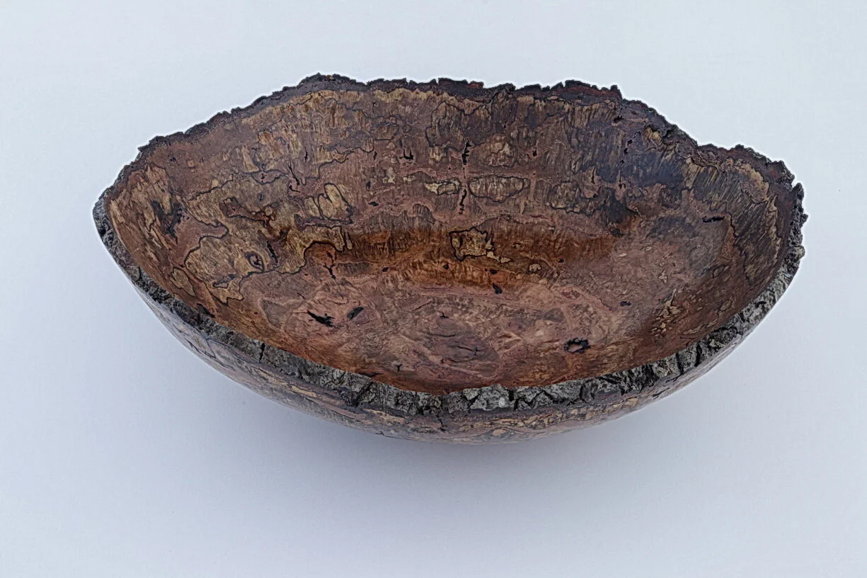 Preservation Tree Art - Live Edge Red Oak Burl