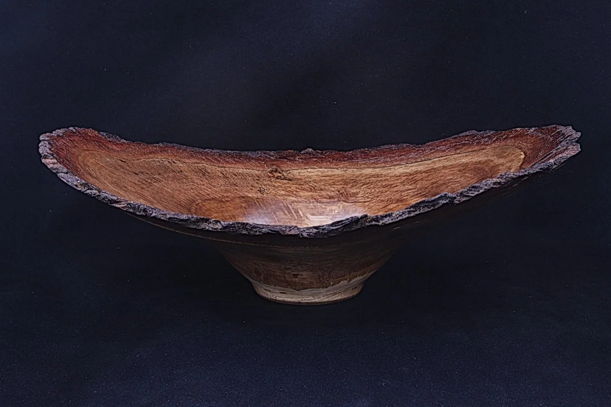 Preservation Tree Art — Historic Bluffton Secession Live Oak