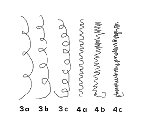 4a Hair Strand