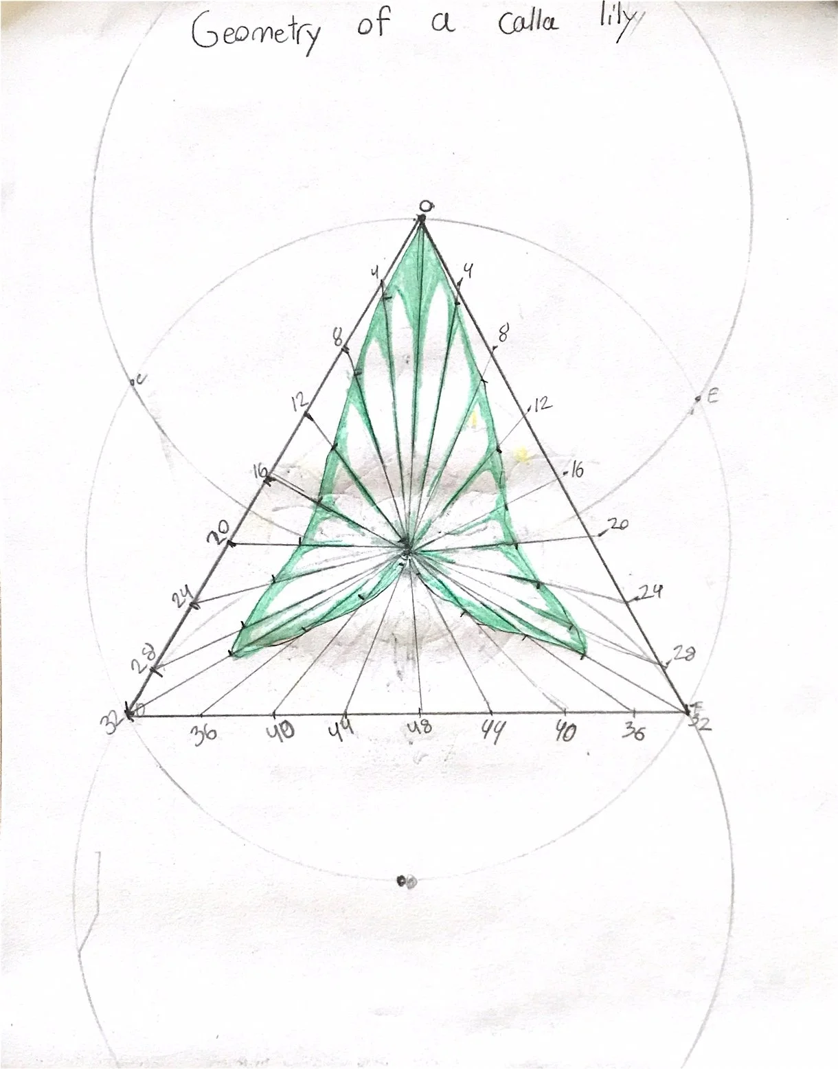 The Benefits Of The Waldorf Math Curriculum Lotus Ivy