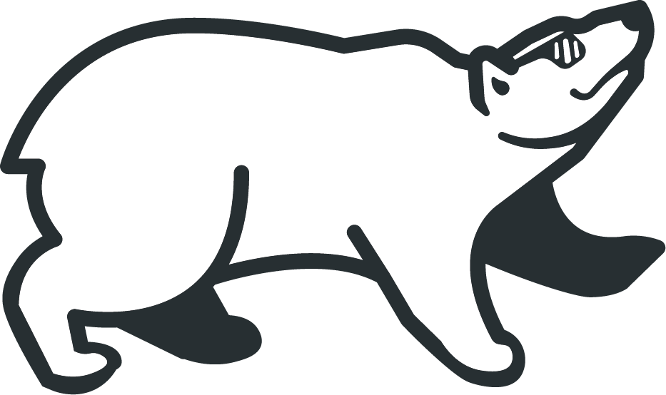 Our Team — Solar Bear