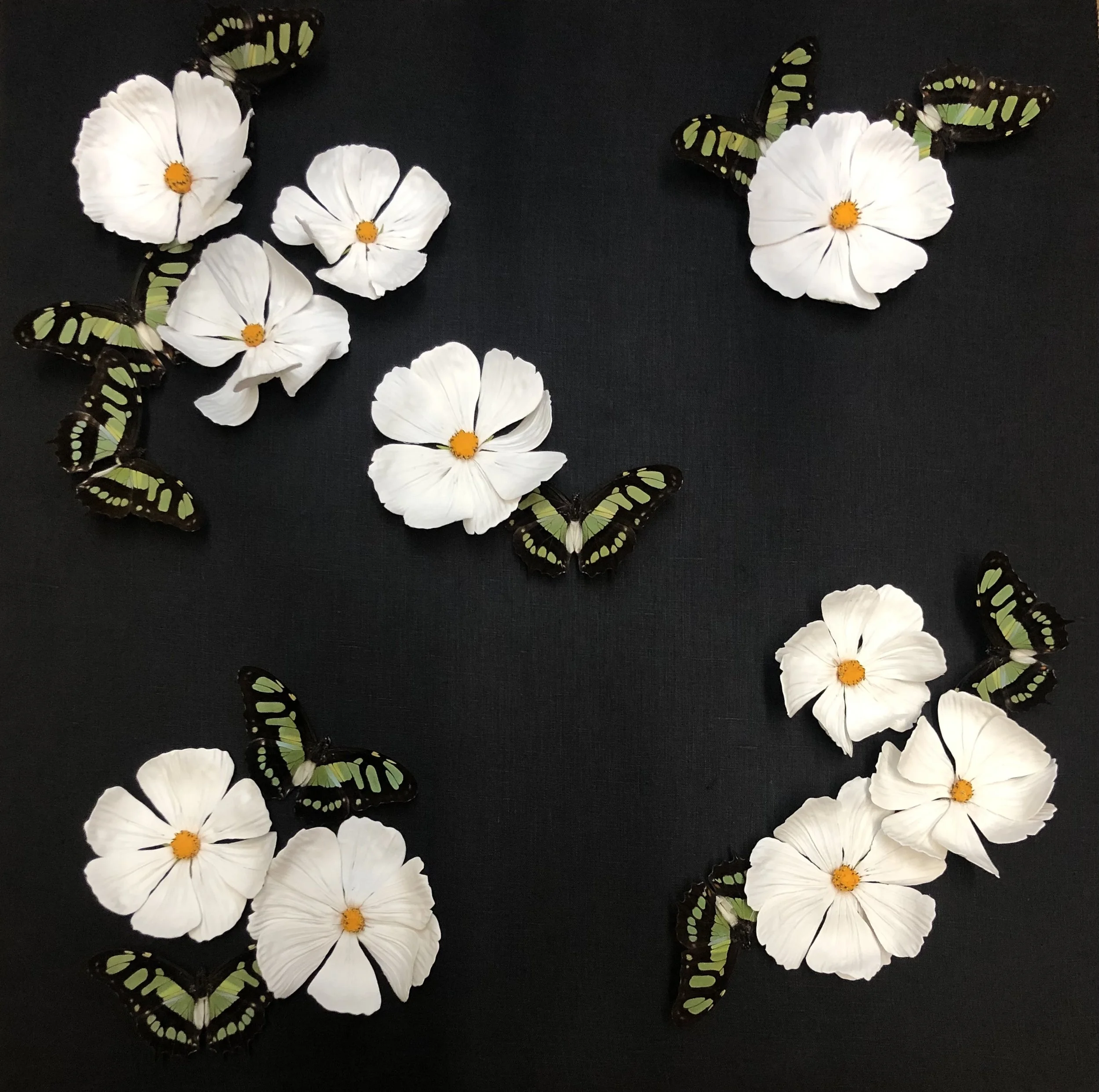 Hold My Hand — E. Putnam Studio