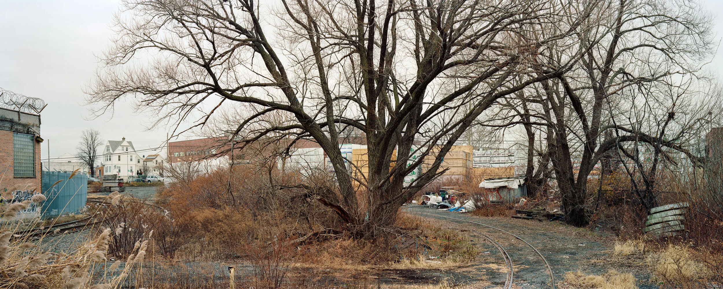 National Character — John Sanderson