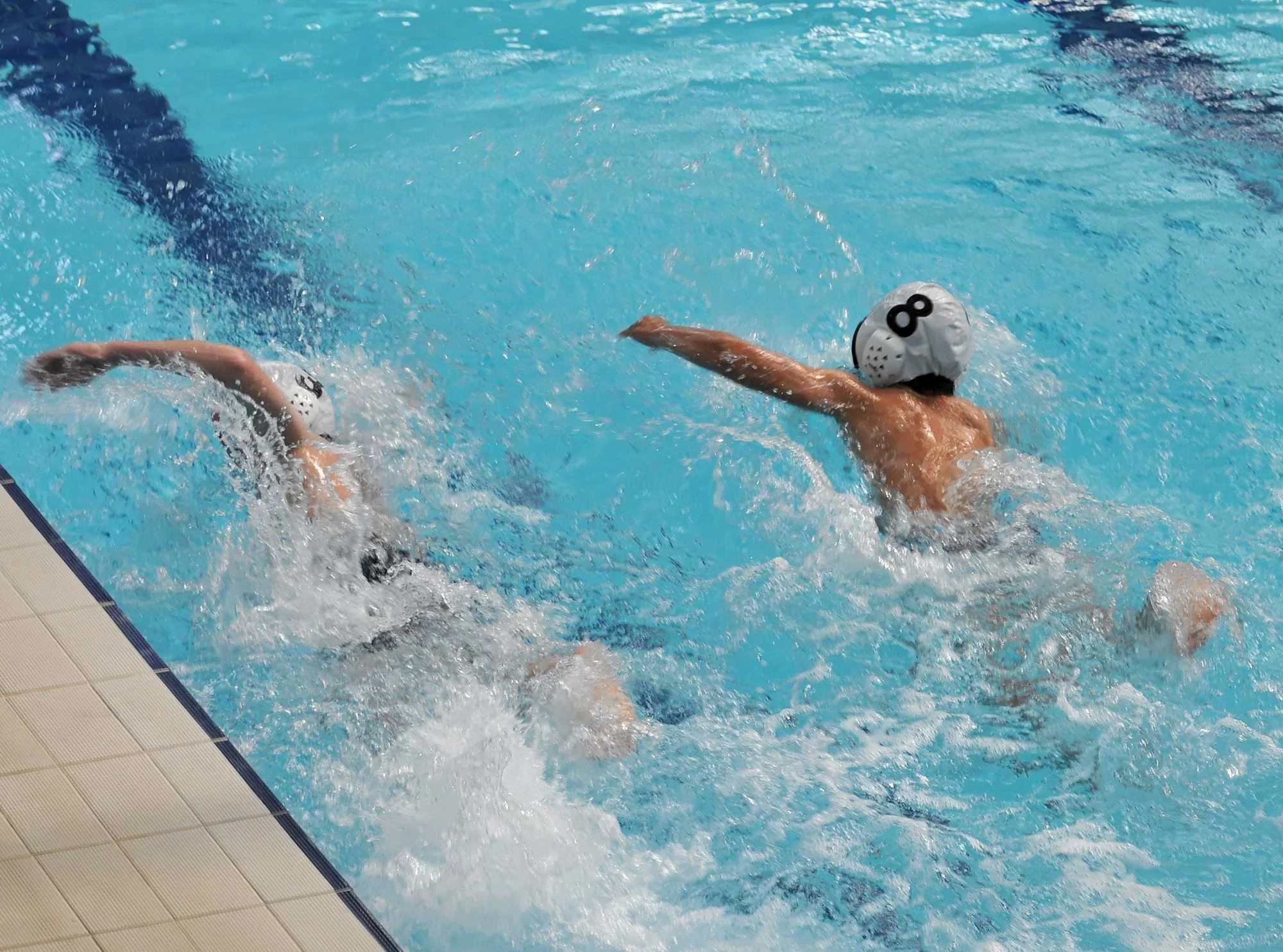 Flippa Ball League — Waitakere Water Polo