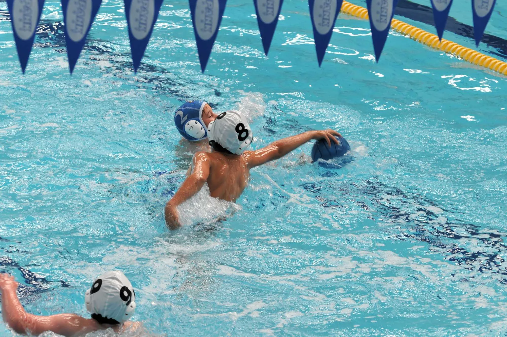 Flippa Ball League — Waitakere Water Polo