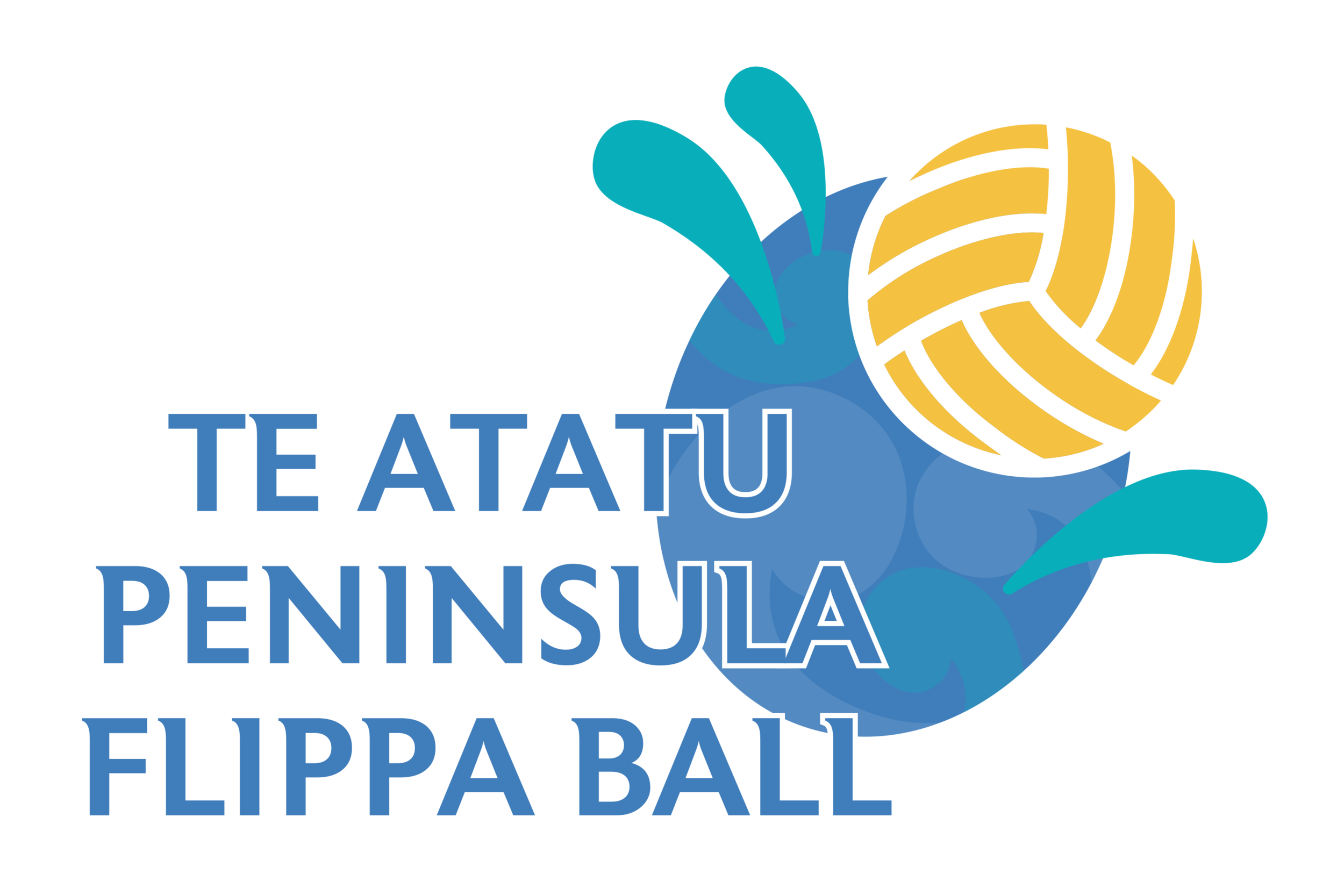 Flippa Ball League — Waitakere Water Polo