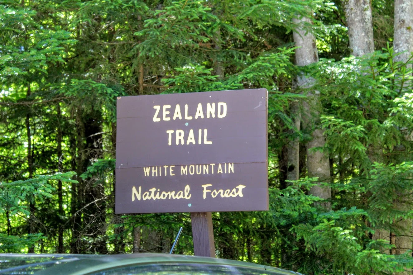 Zealand Falls Hut to Zeacliffs, New Hampshire — Hiking for Donuts