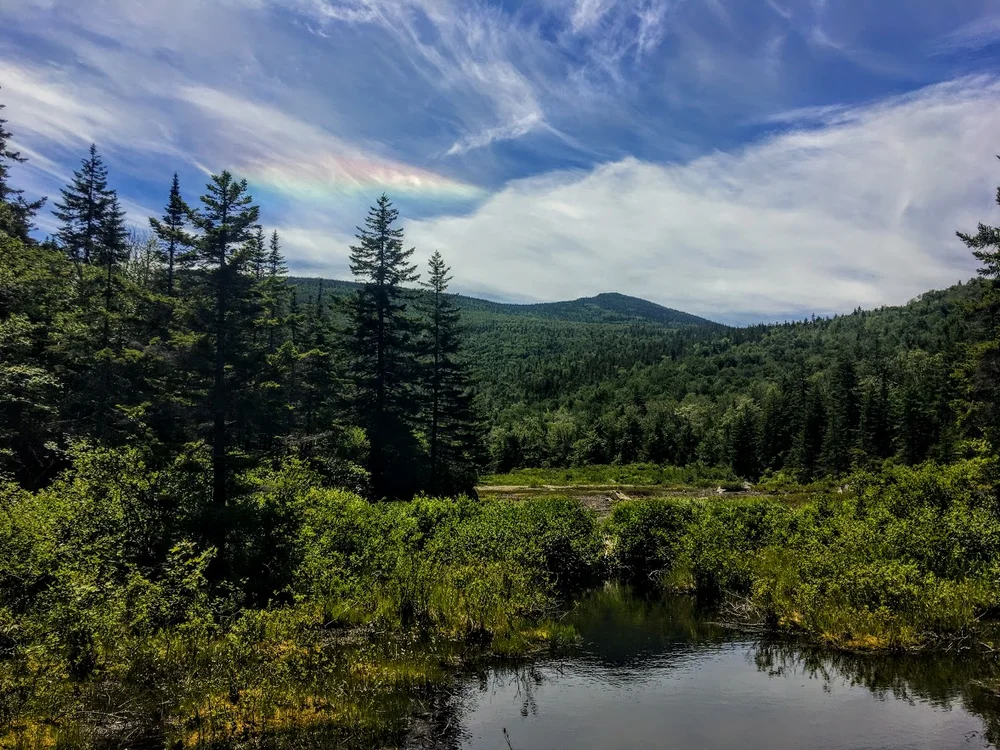 Zealand Falls Hut to Zeacliffs, New Hampshire — Hiking for Donuts