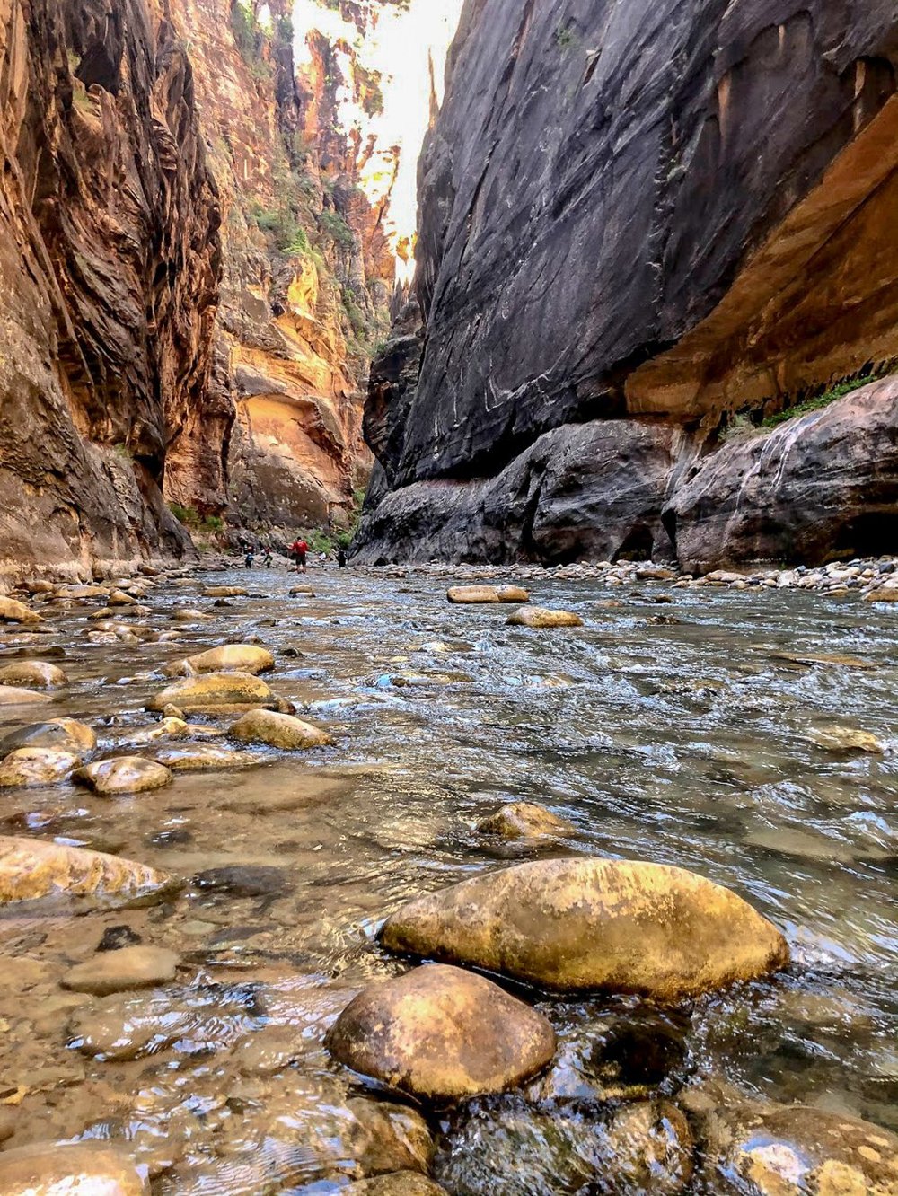 Zion Narrows Hiking Guide for Beginners, Zion National Park — Hiking ...
