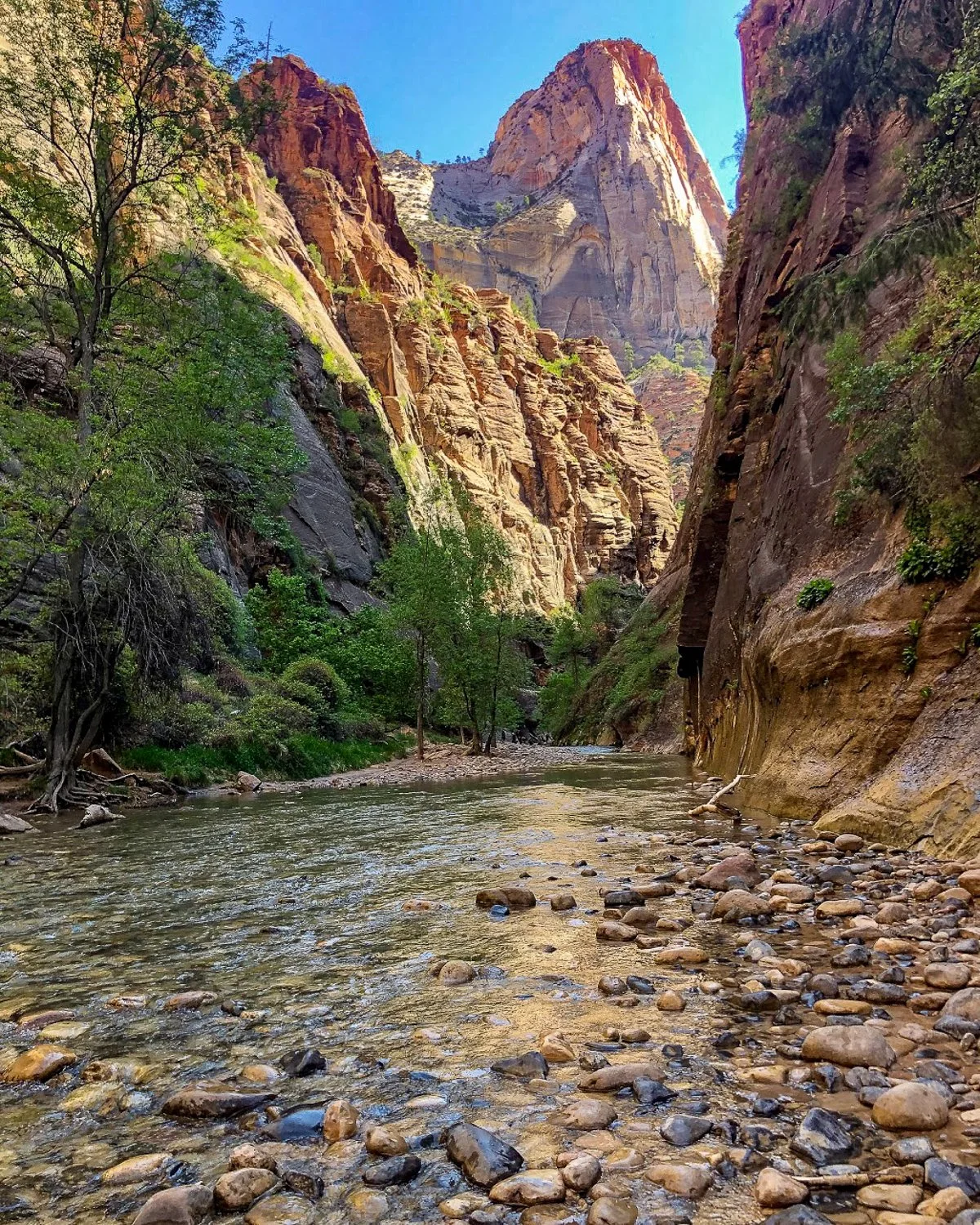 Zion National Park Travel Guide - Plan Your Trip — Hiking for Donuts
