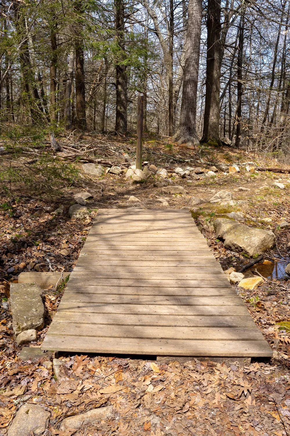 Hiking Mount Agamenticus, York, Maine — Hiking for Donuts