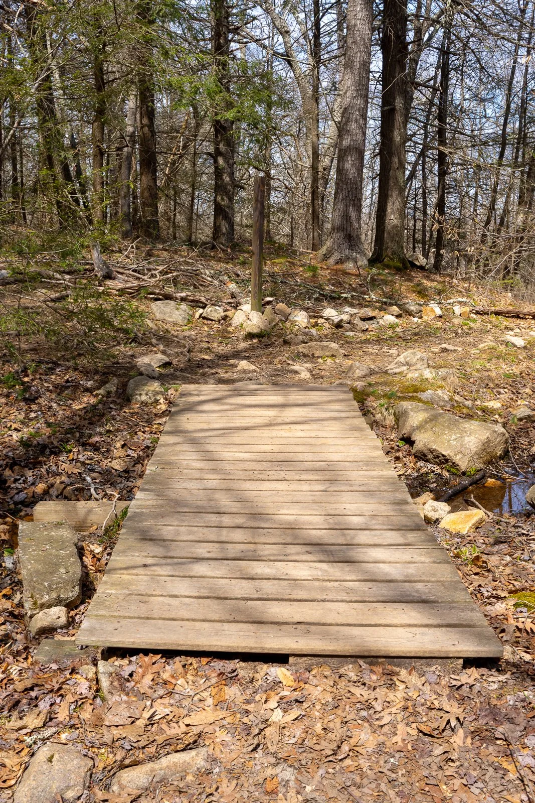 Hiking Mount Agamenticus, York, Maine — Hiking for Donuts