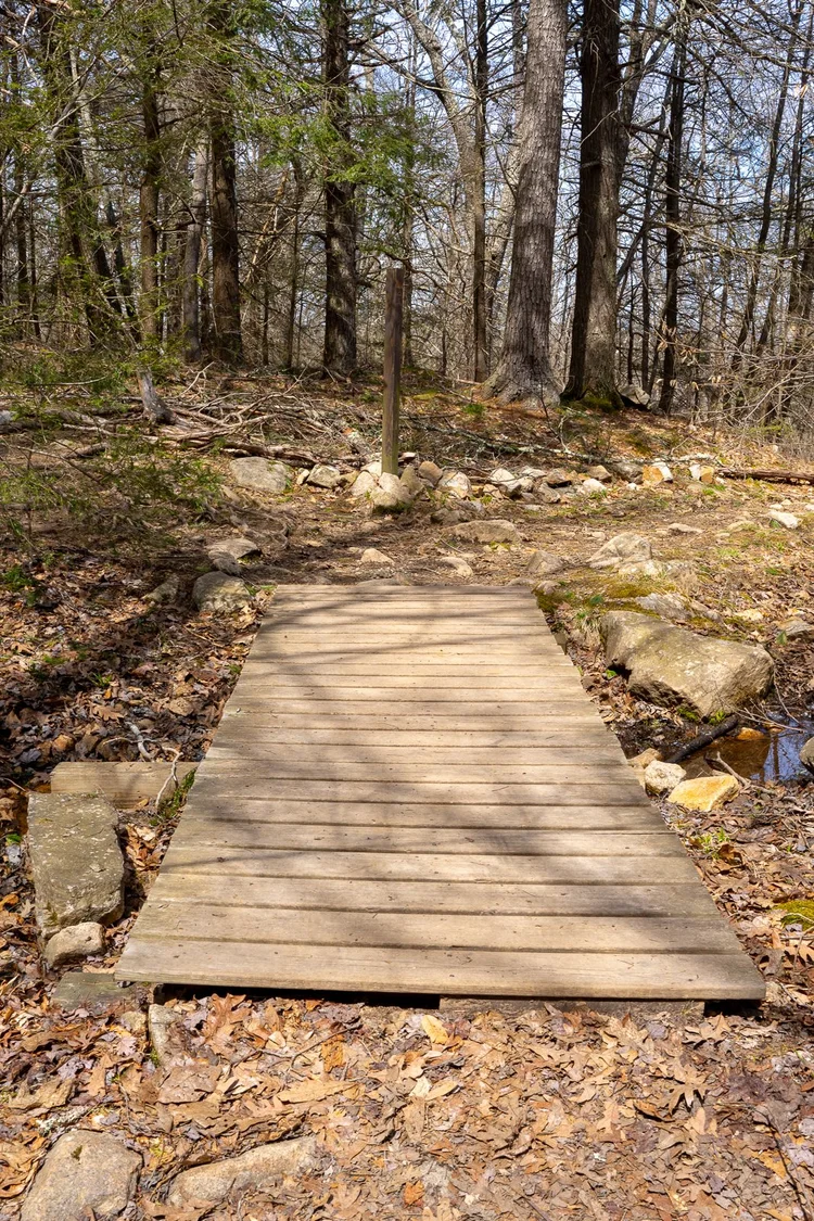 Hiking Mount Agamenticus, York, Maine — Hiking for Donuts
