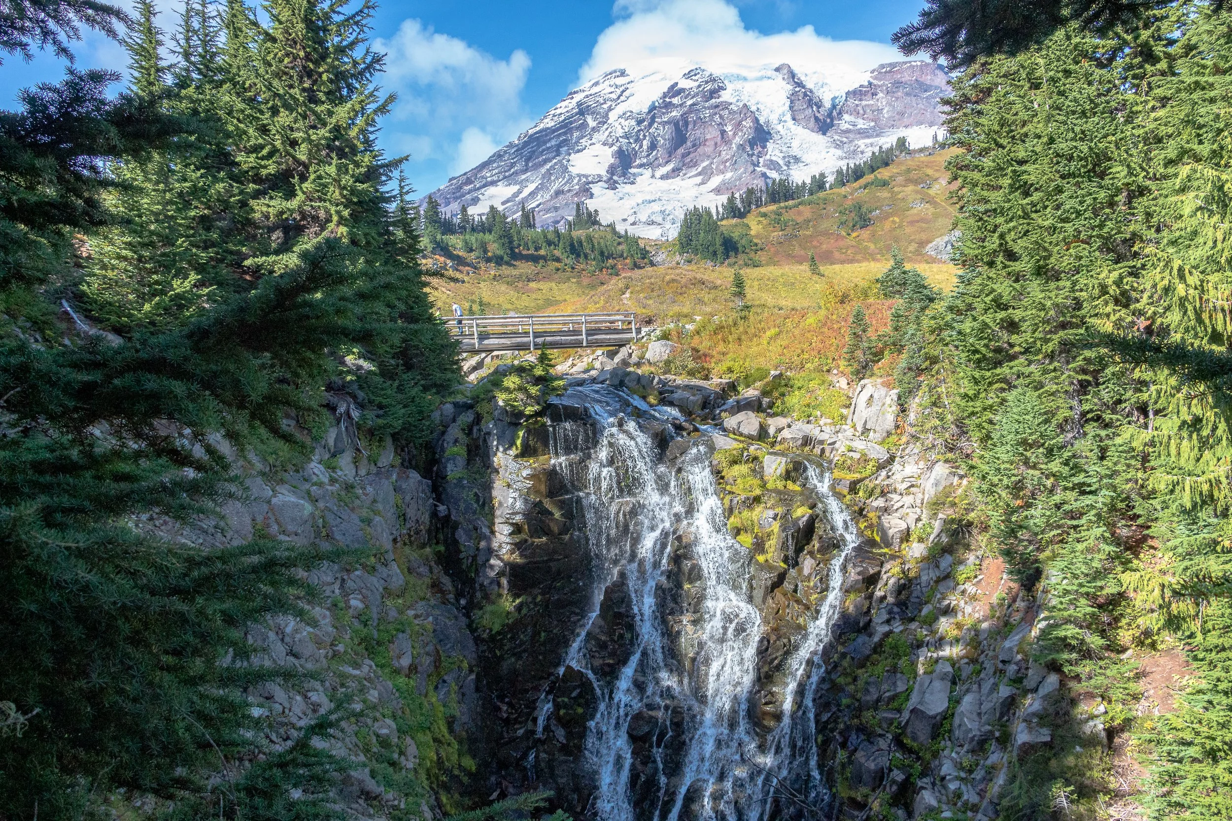 3 Easy Hikes in Mount Rainier National Park — Hiking for Donuts