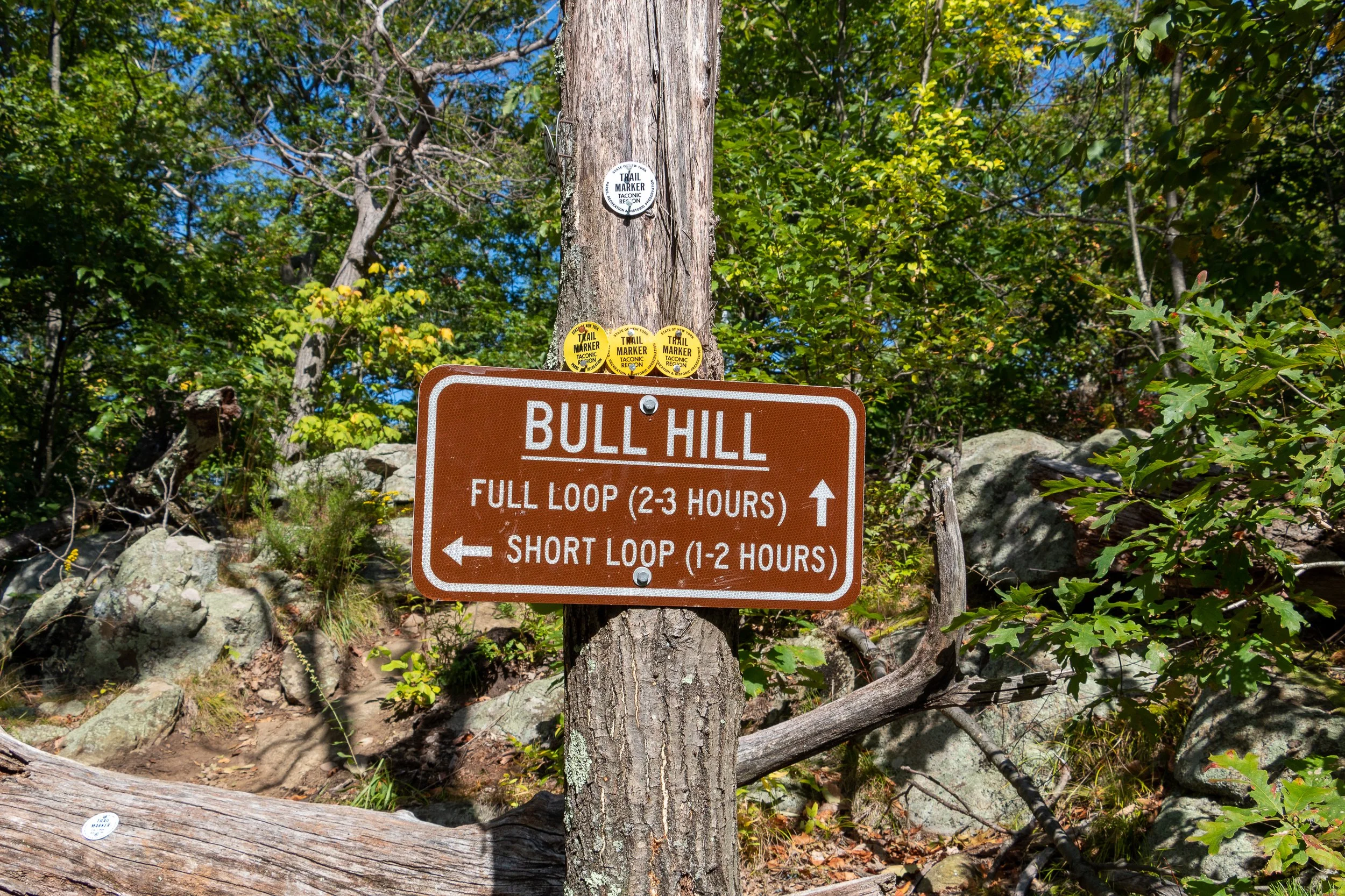 Bull Hill (Mt Taurus) Hike, Cold Spring, NY — Hiking for Donuts