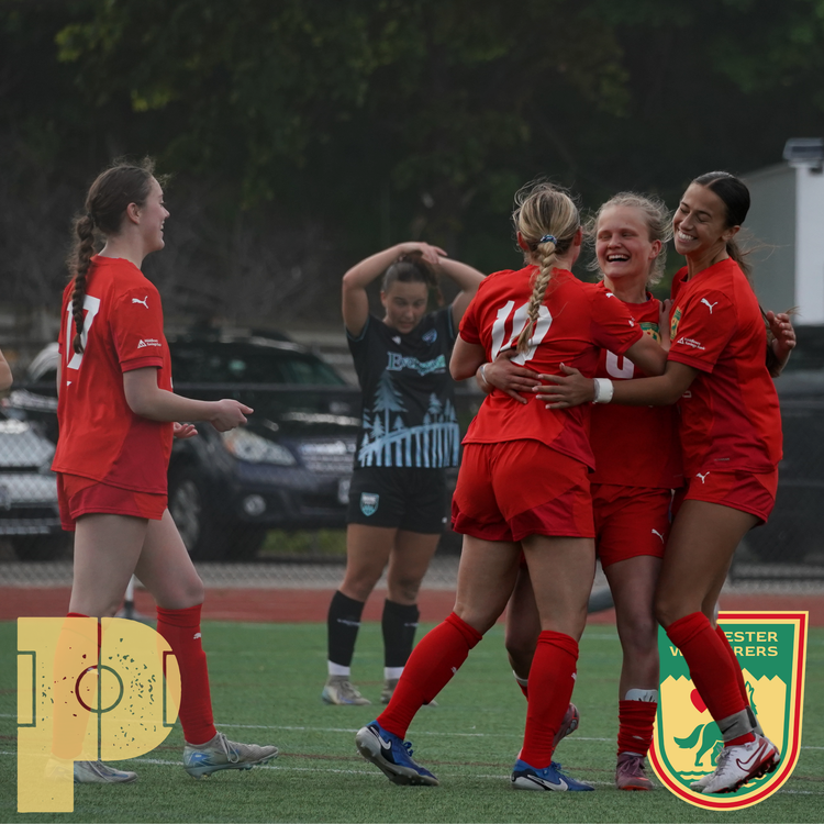Who Are Ya!: Worcester Wanderers (United Women's Soccer) — Protagonist ...