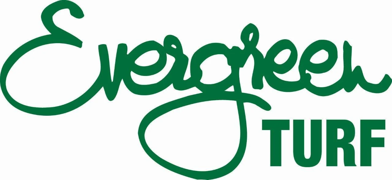 evergreen turf