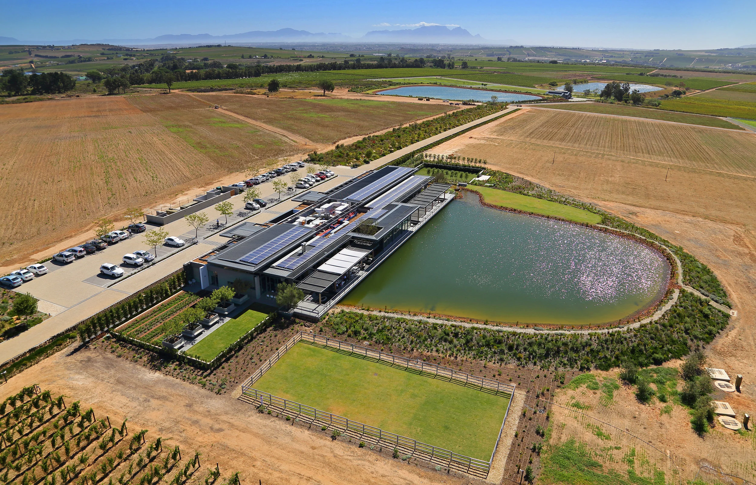 Cavalli Restaurant — Bouwer Architects